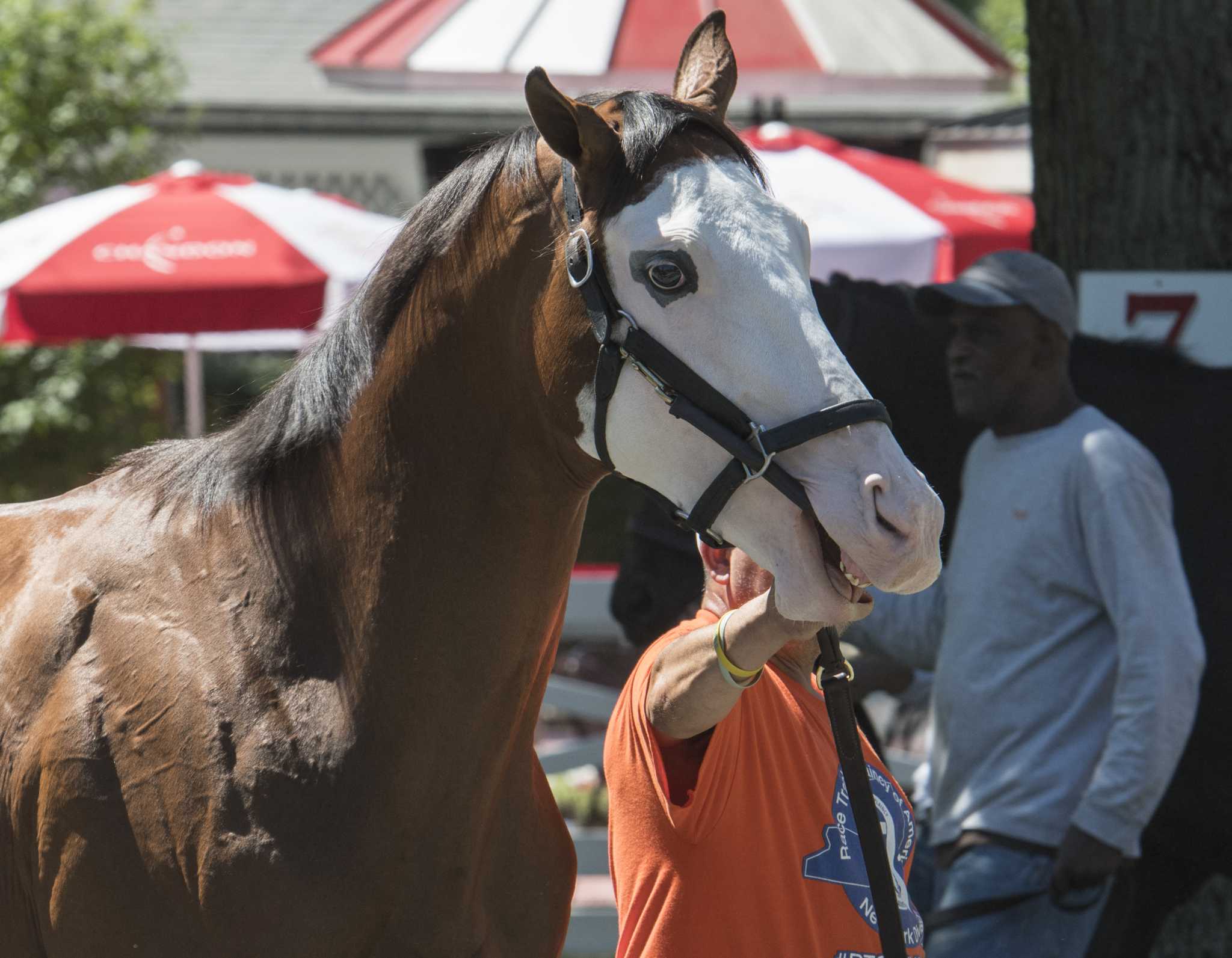 Video: Fan favorite Southern Phantom works out at Saratoga