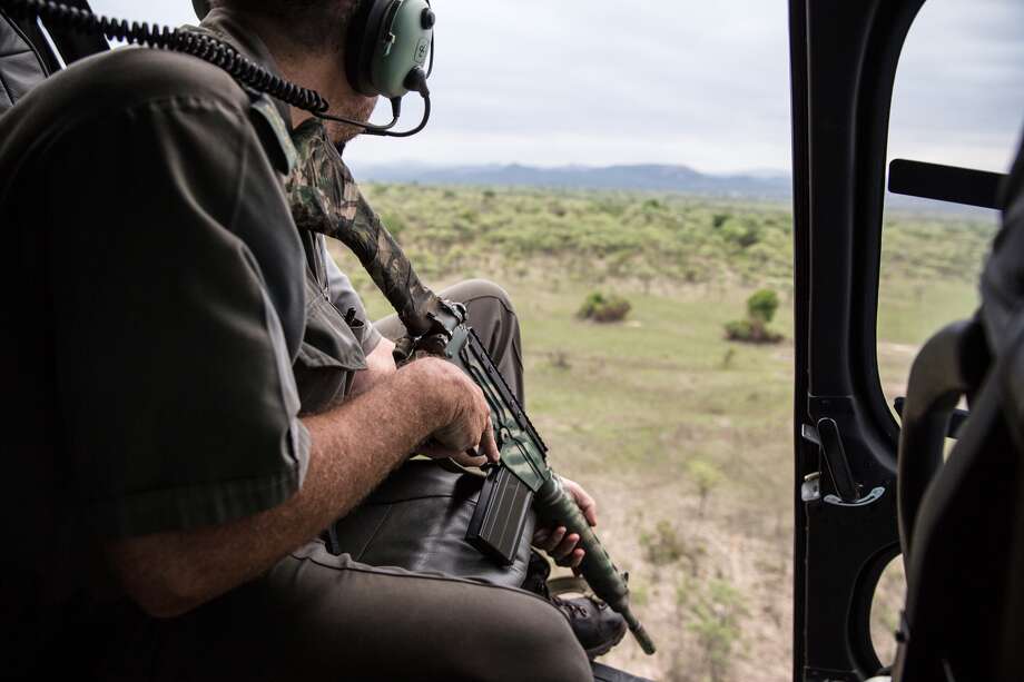 Ranger trying to save rhinos shot, killed by poachers - SFGate