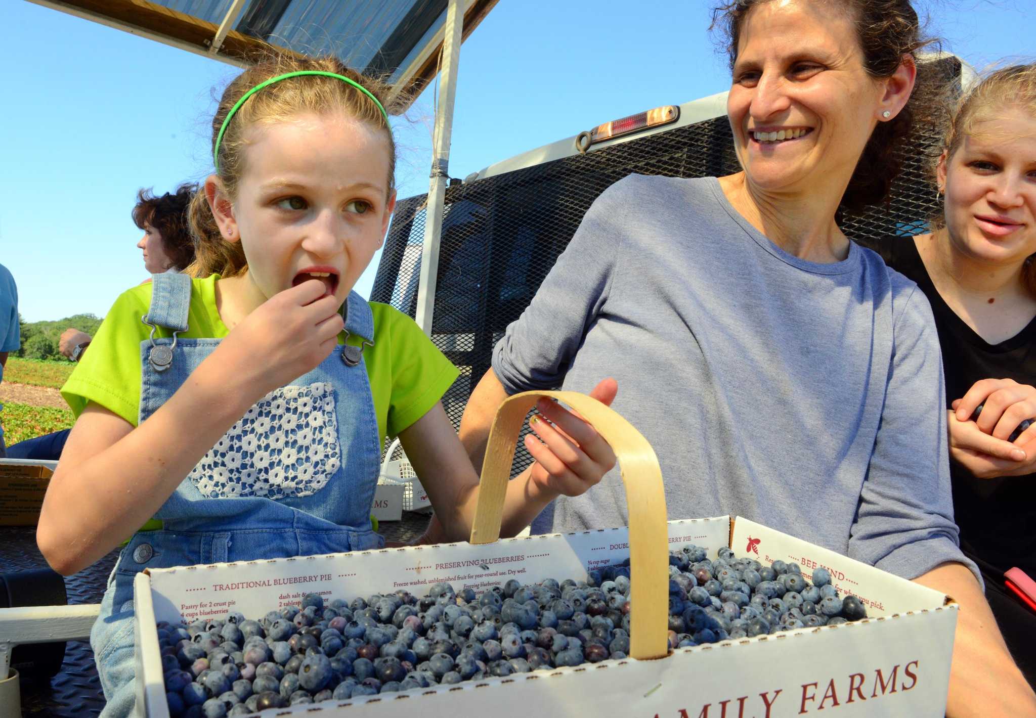 Area residents love Shelton’s Jones Farm blueberries