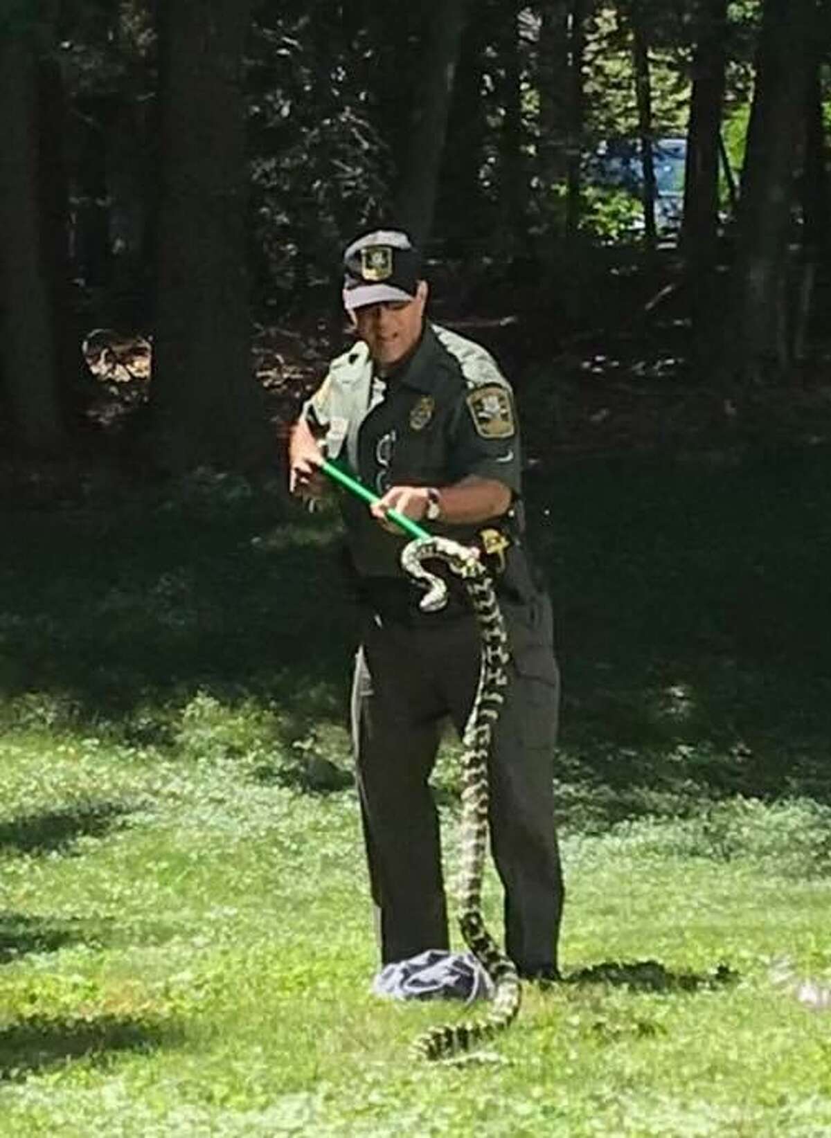 EnCon officer wrangles escaped snake in Avon