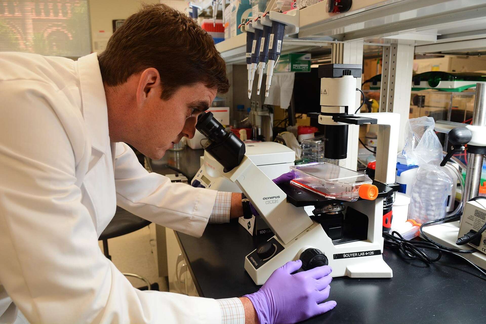 Typhus, once thought eradicated, continues to spike in Texas