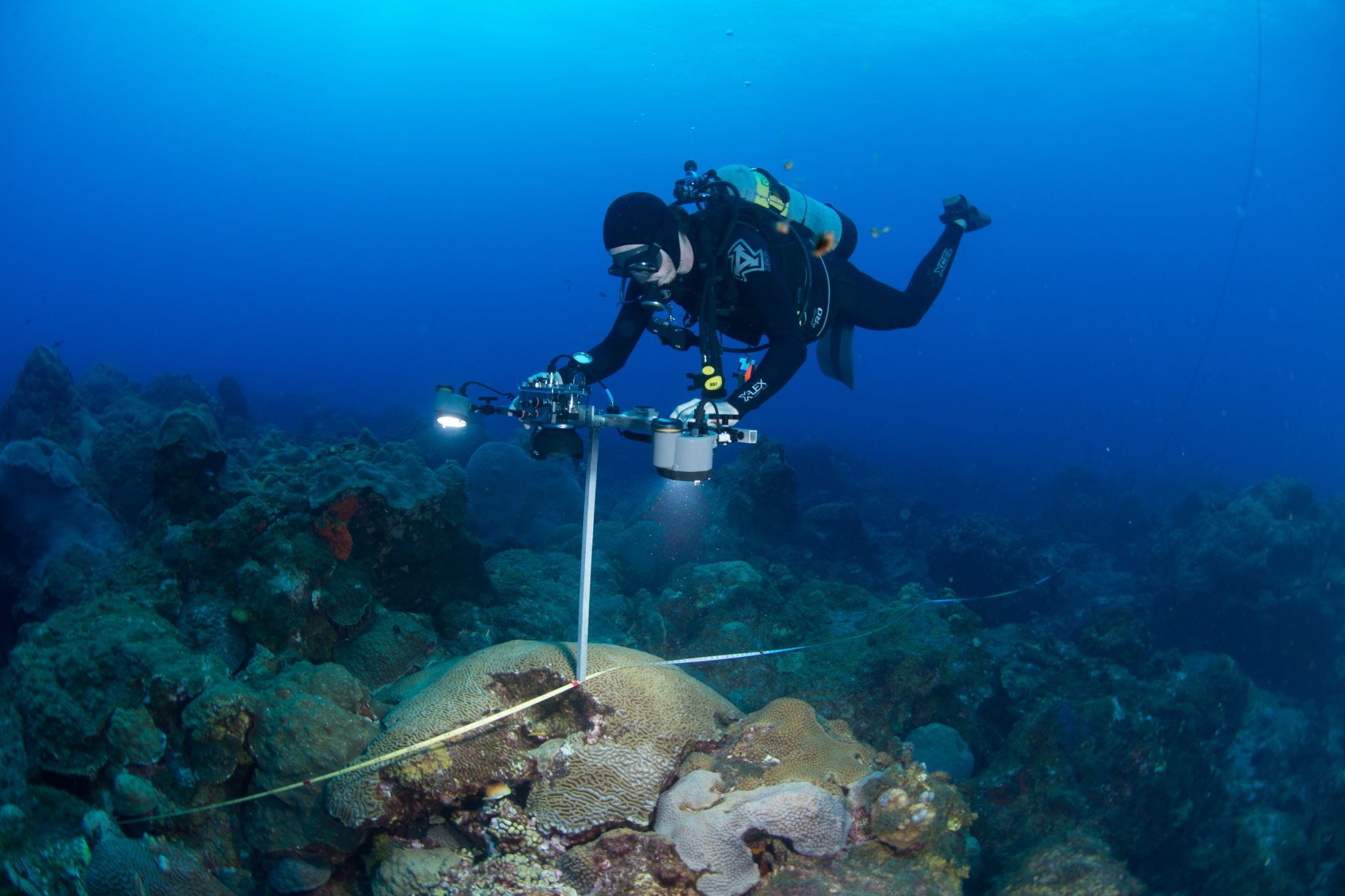 Saving the coral reefs: Researchers race against the clock to restore ...