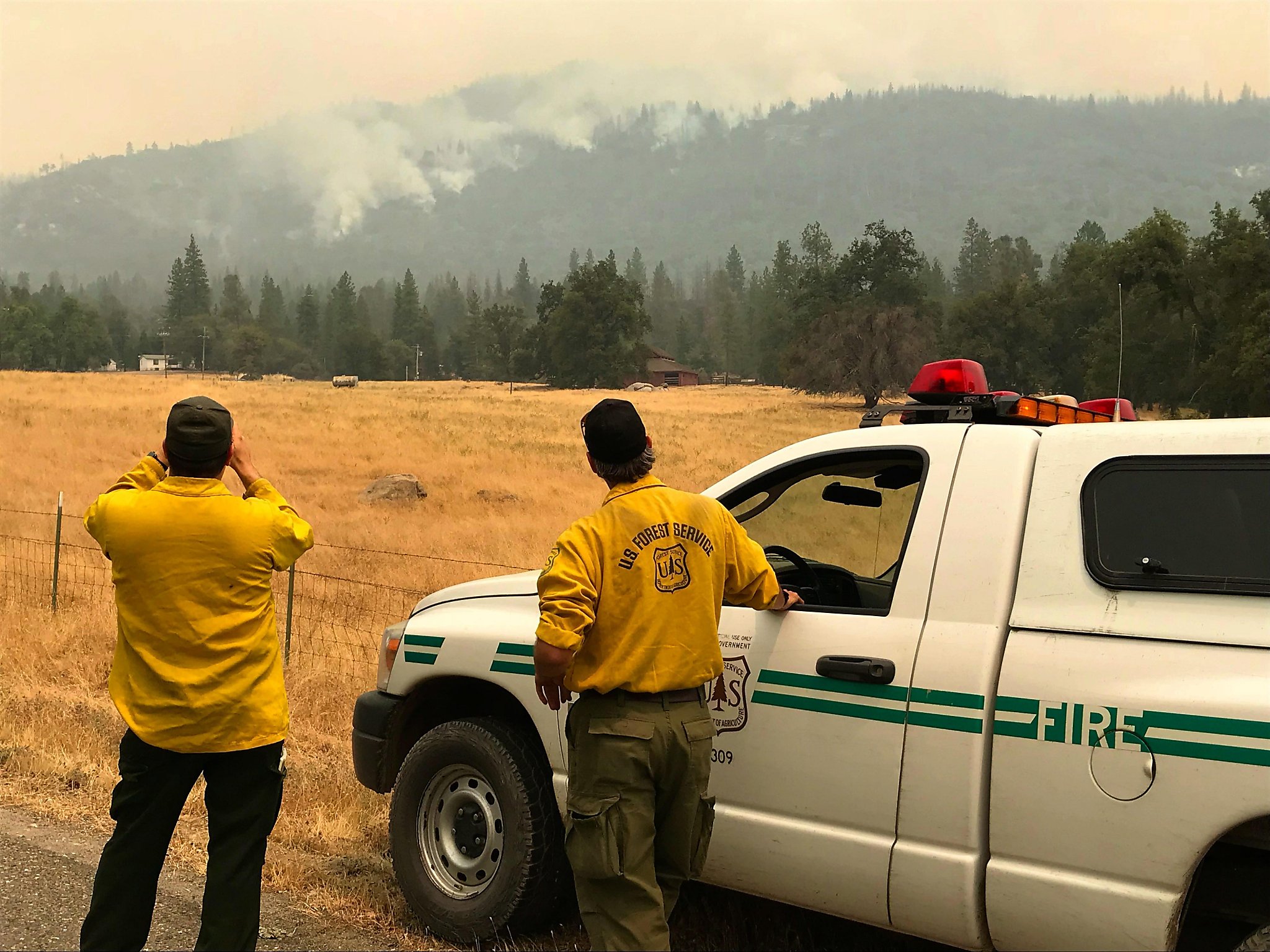 Ferguson Fire: Tree mortality epidemic adding to fire crews’ headaches