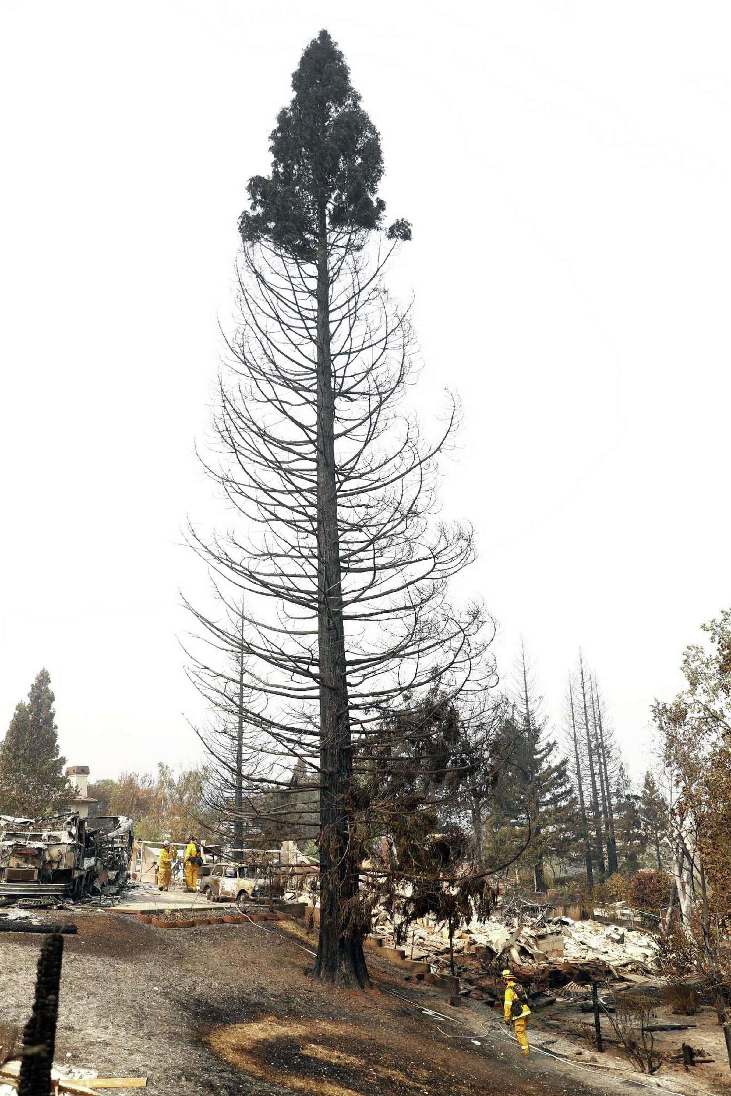 Carr Fire kills two firefighters near Redding, destroys 500 structures