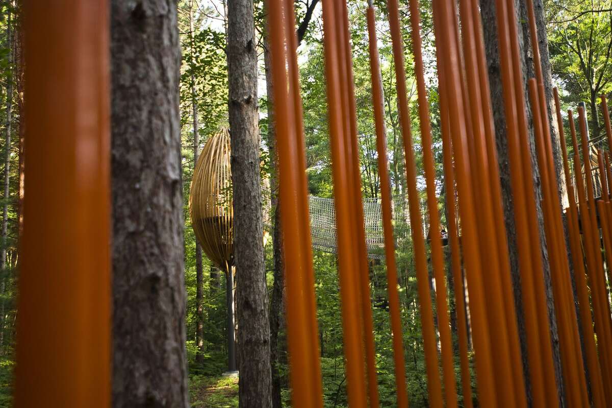 Activities set for canopy walk opening week