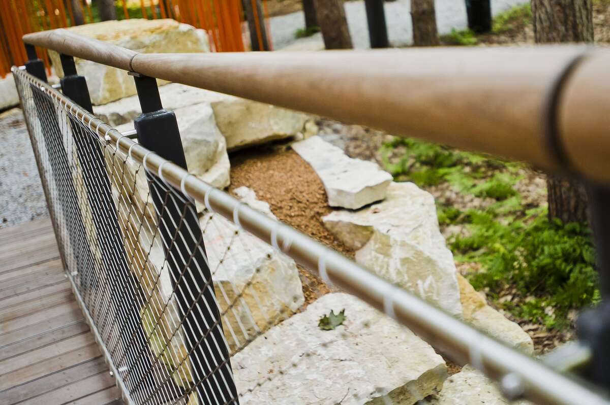 Canopy walk will open first weekend in October