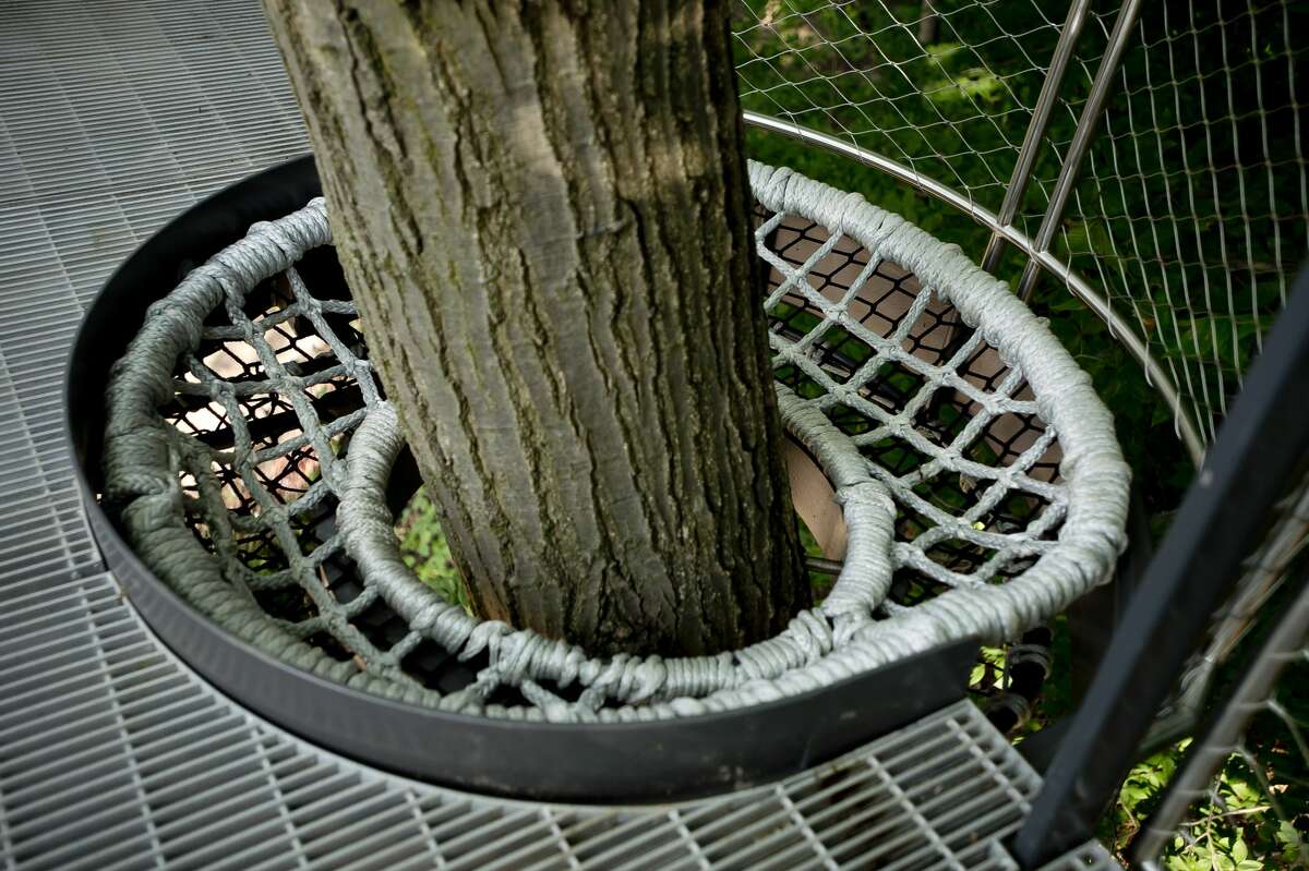Canopy walk will open first weekend in October
