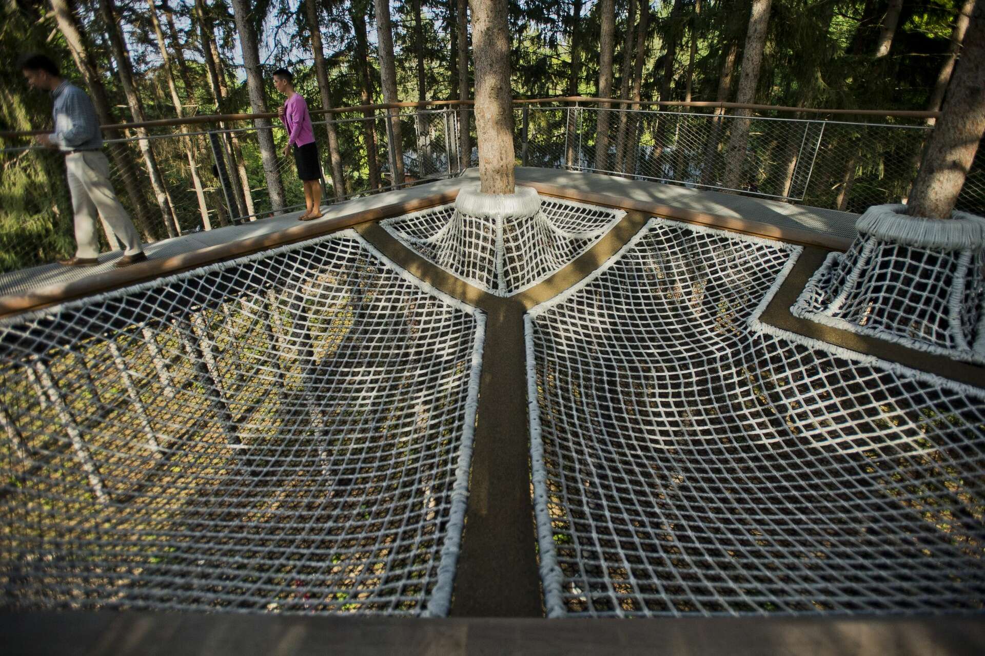 Canopy walk will open first weekend in October