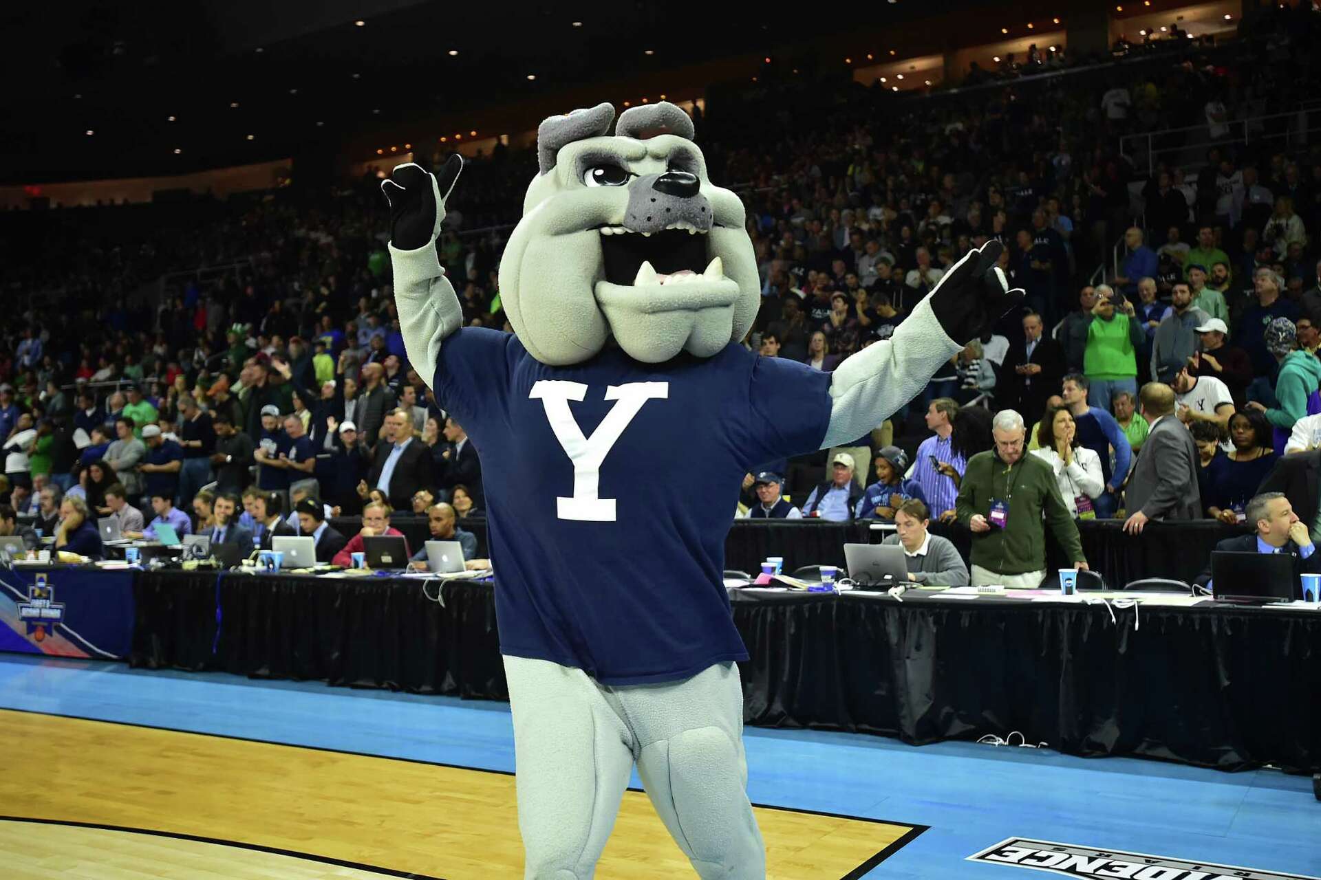 Yale Mascot And Colors