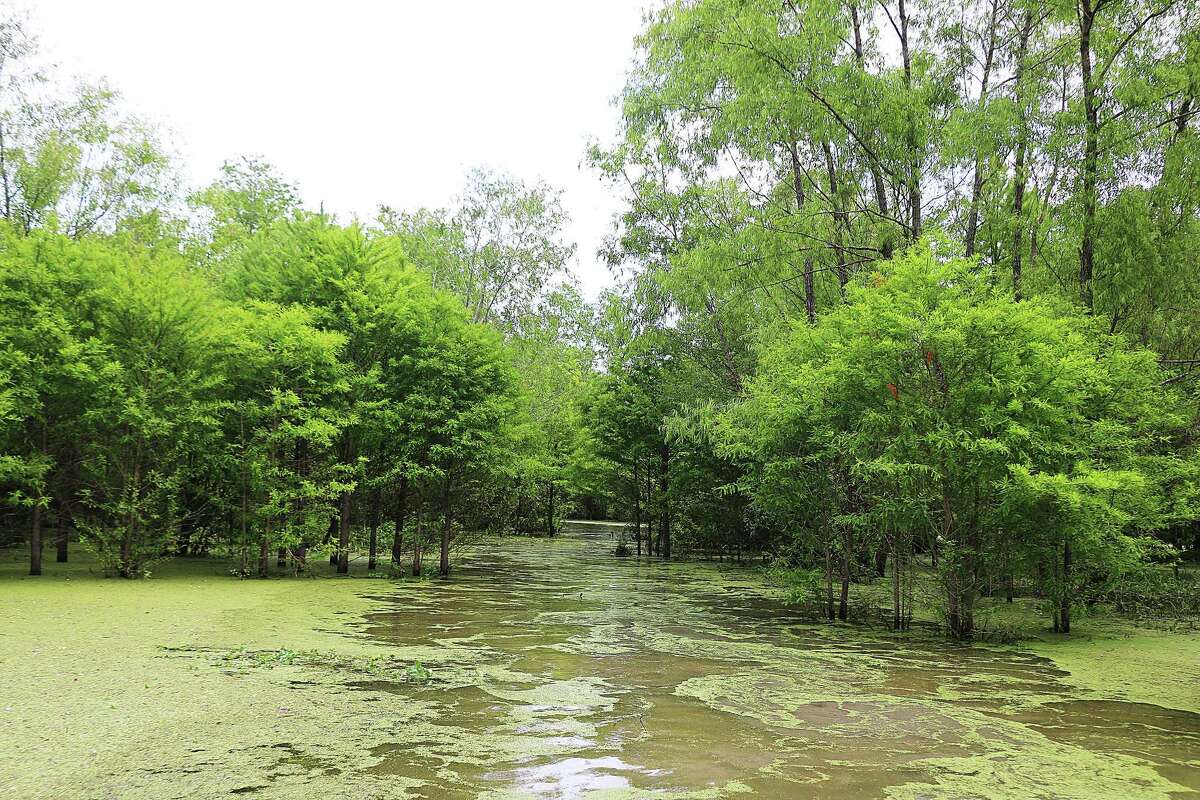 Trinity River National Wildlife Refuge offers hunt opportunities