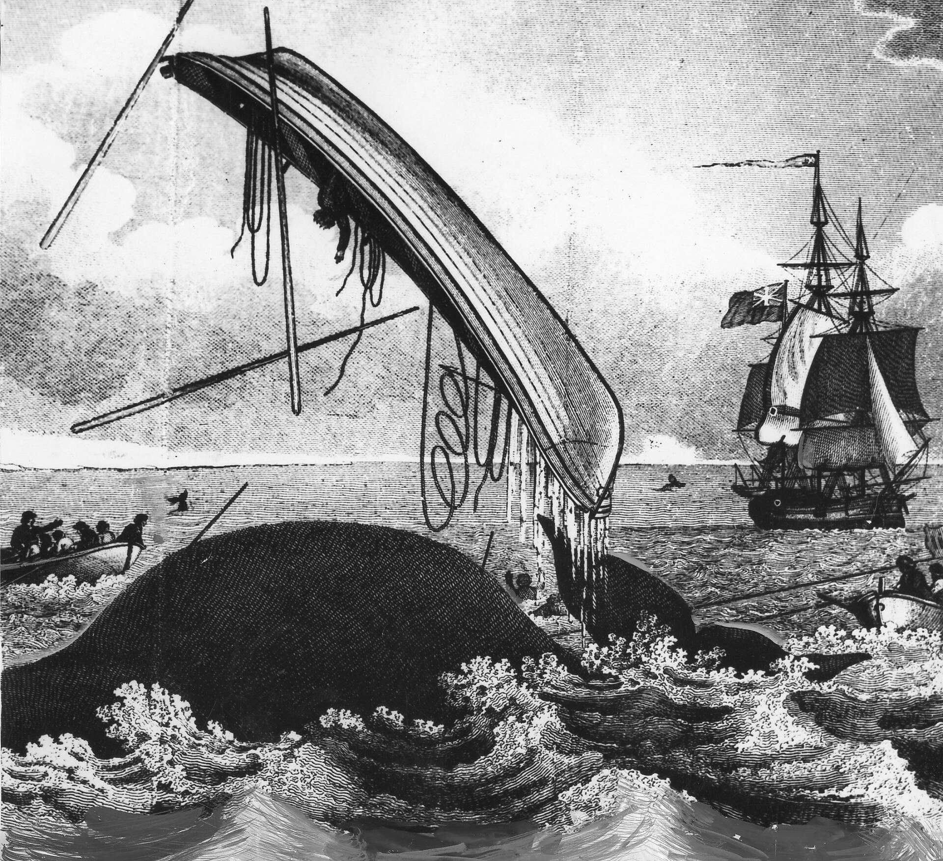 When ships hunted whales, SF Bay was their home