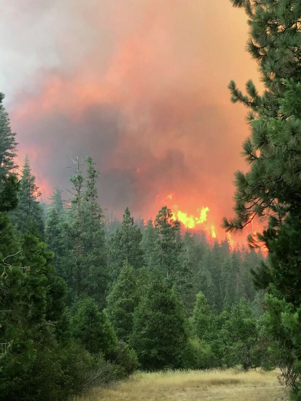 Historic California resort burns in raging Donnell Fire north of Yosemite