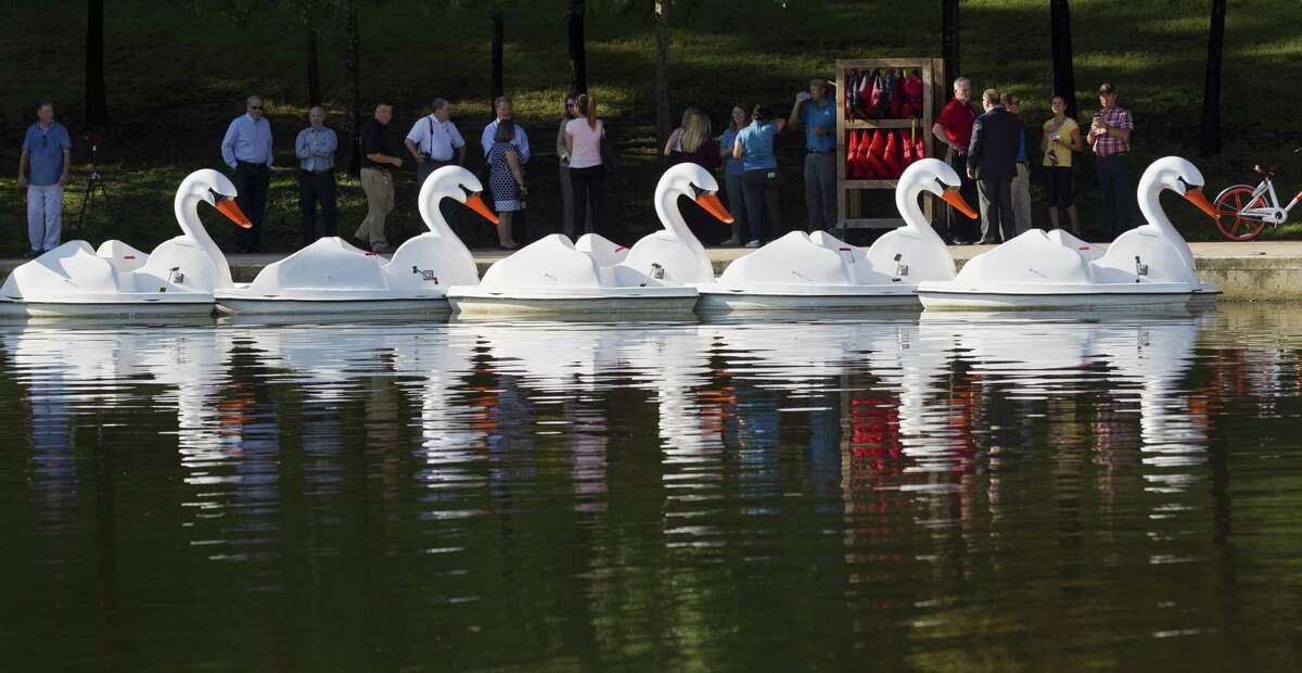 New swan boats make debut in The Woodlands