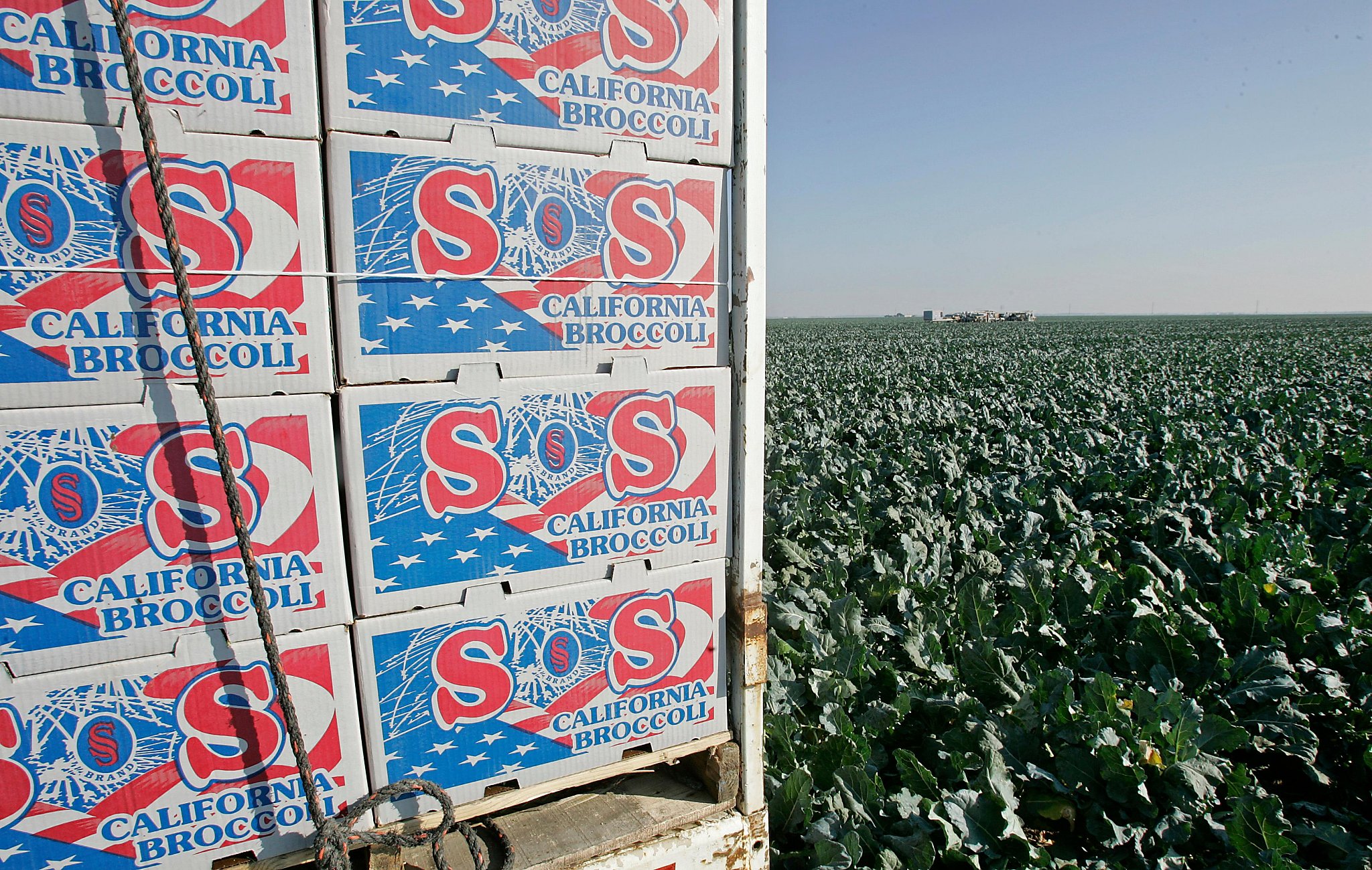 California House race gets ugly: Slogan theft charges fly