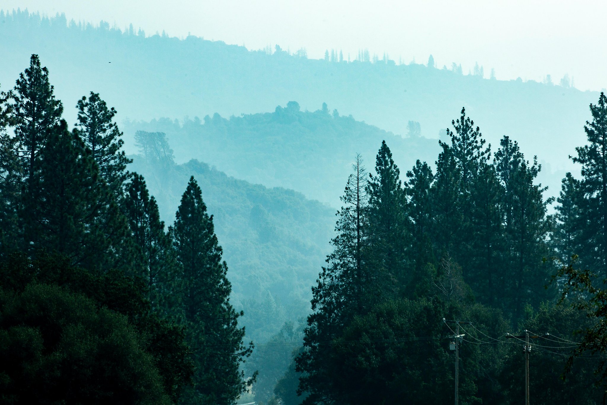 Report: Yosemite, Joshua Tree, all other national parks in Calif. have ...