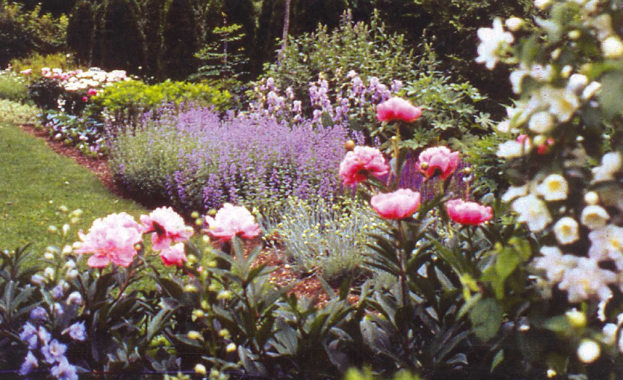 Volunteer gardeners sought to restore historic Glebe House garden