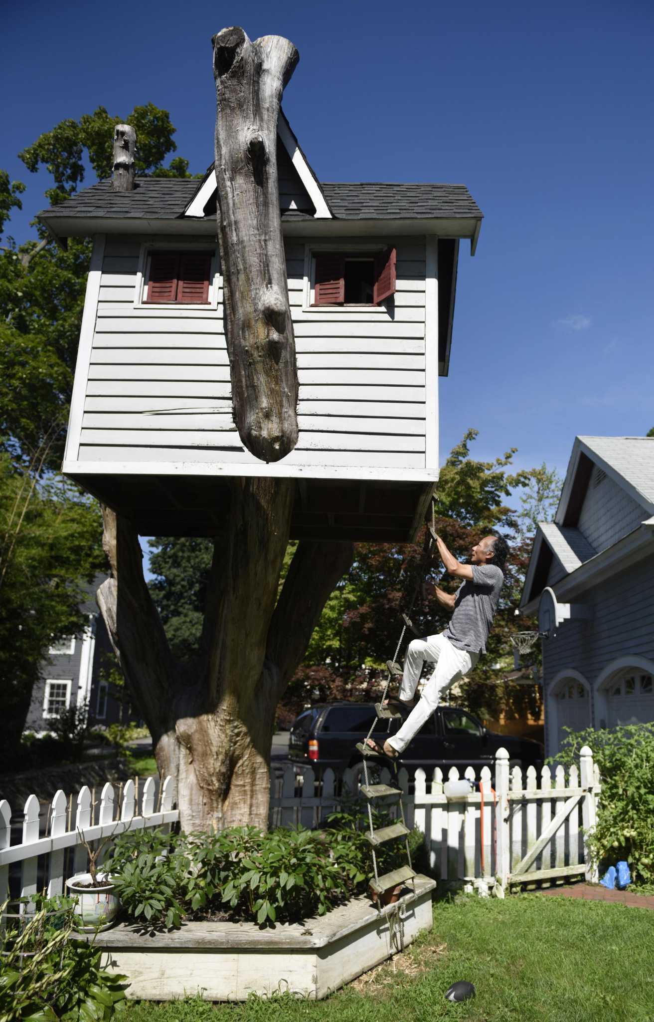 Magical treehouse is the envy of Cos Cob