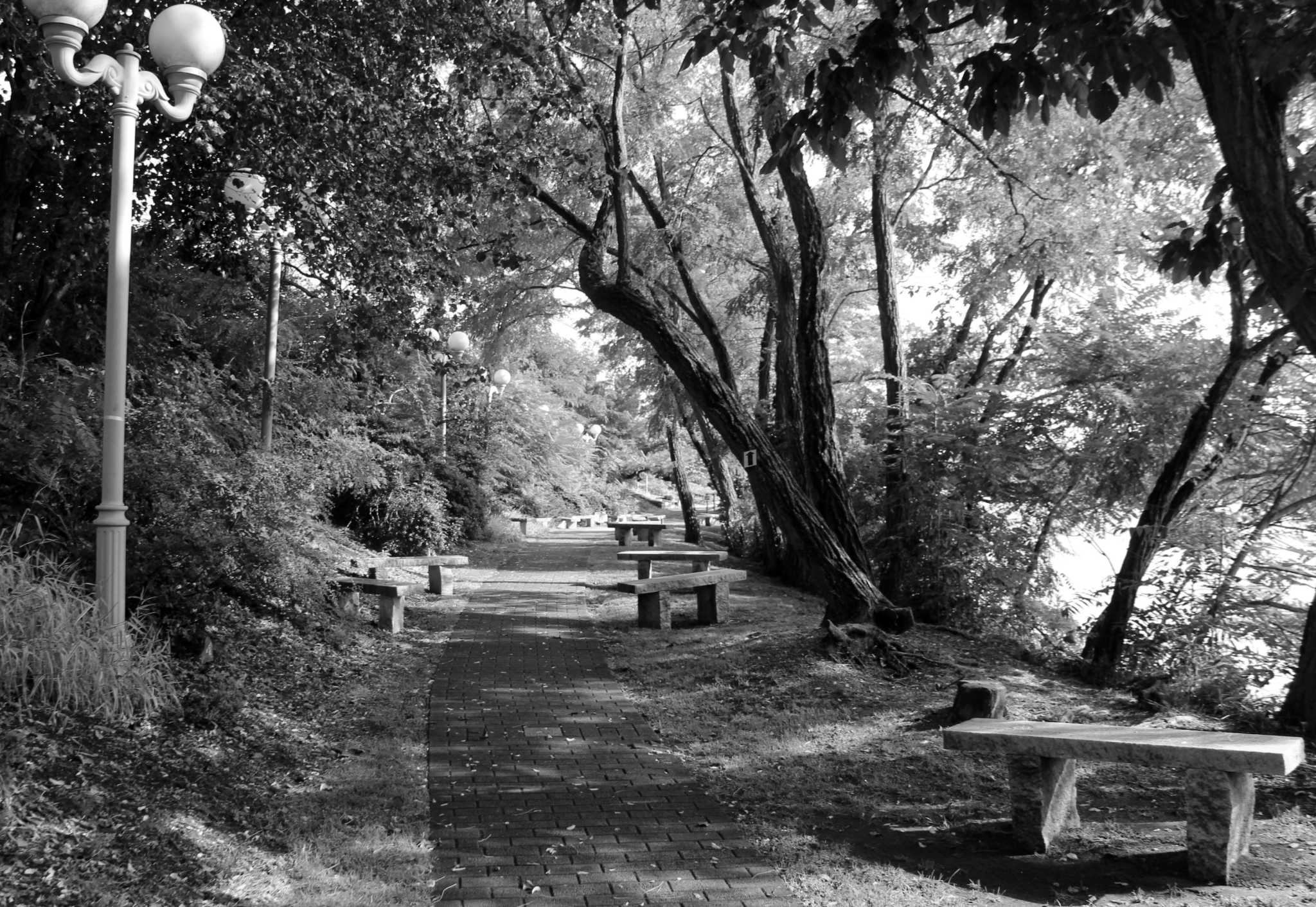 Views: Make my path the sunlight