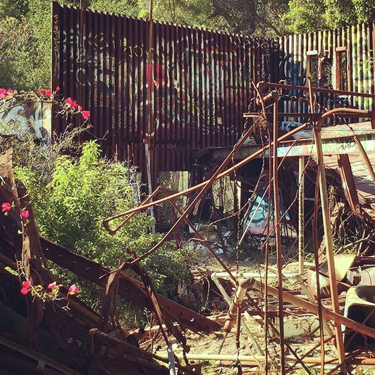 No friends, no problem: These Northern California trips are perfect for ...