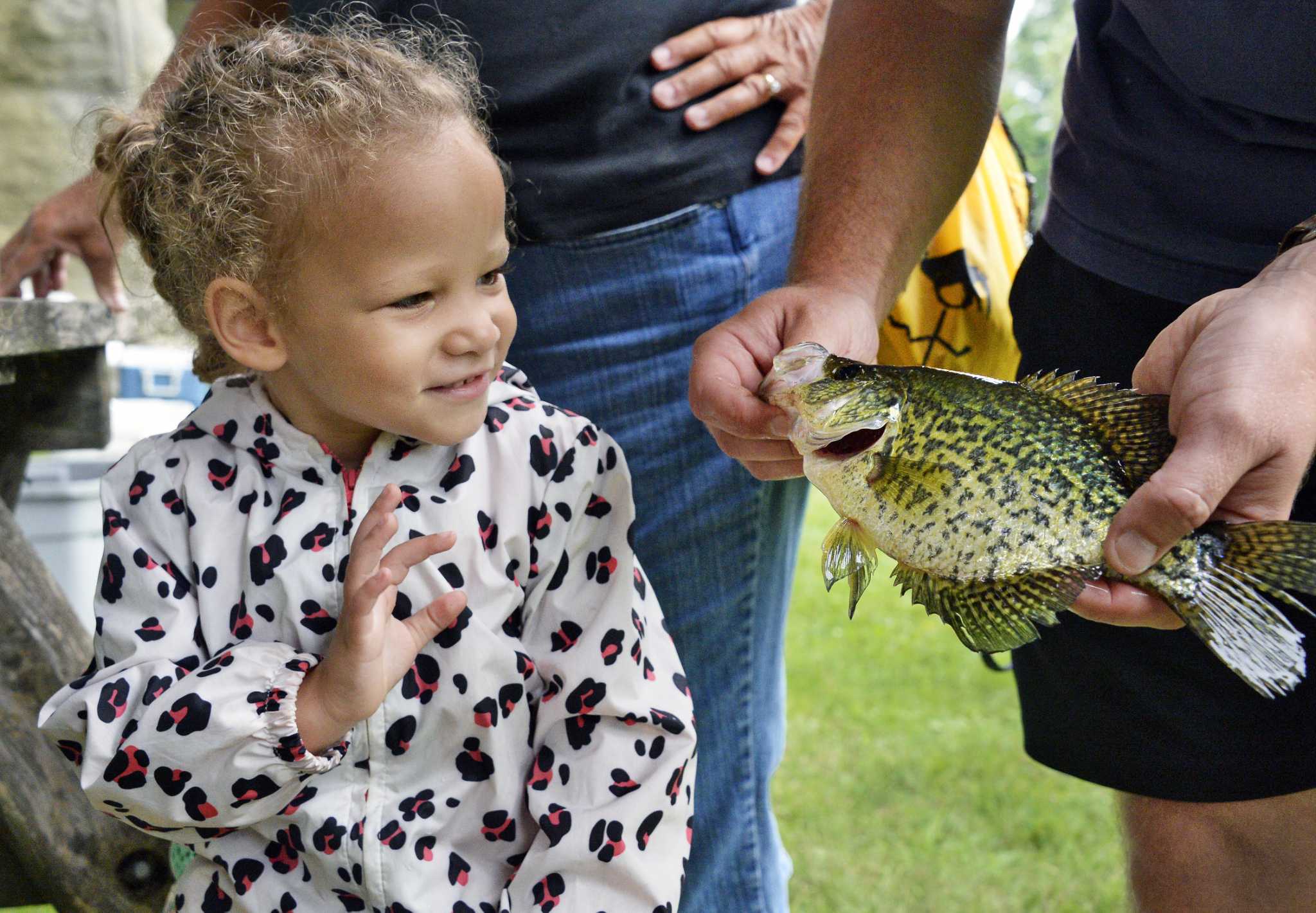 Photos: Hudson estuary fish count
