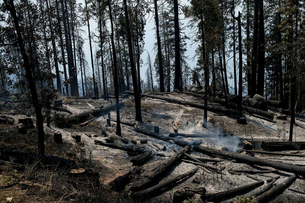 In California’s new wildfire reality, facing the need for periodic ...