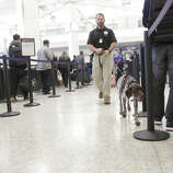 Big changes at SFO's new automated security lanes - SFGate