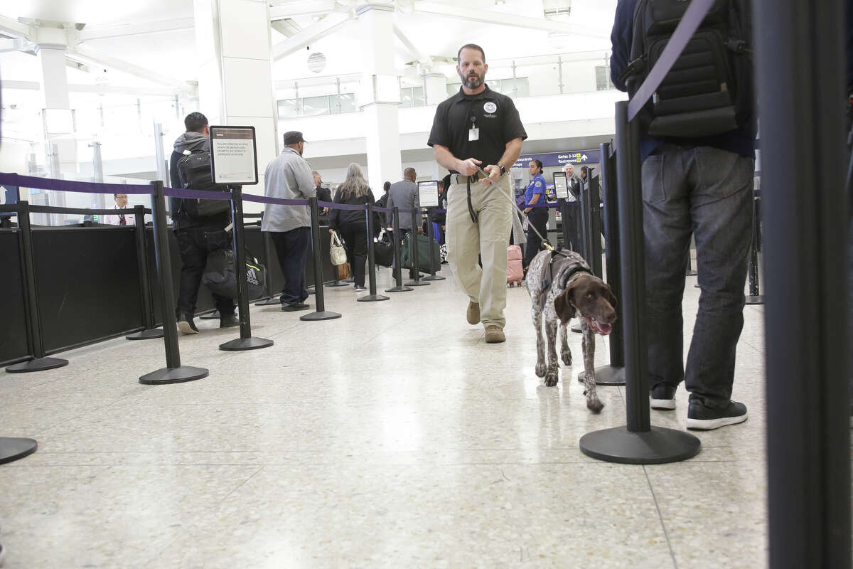 Big changes at SFO's new automated security lanes