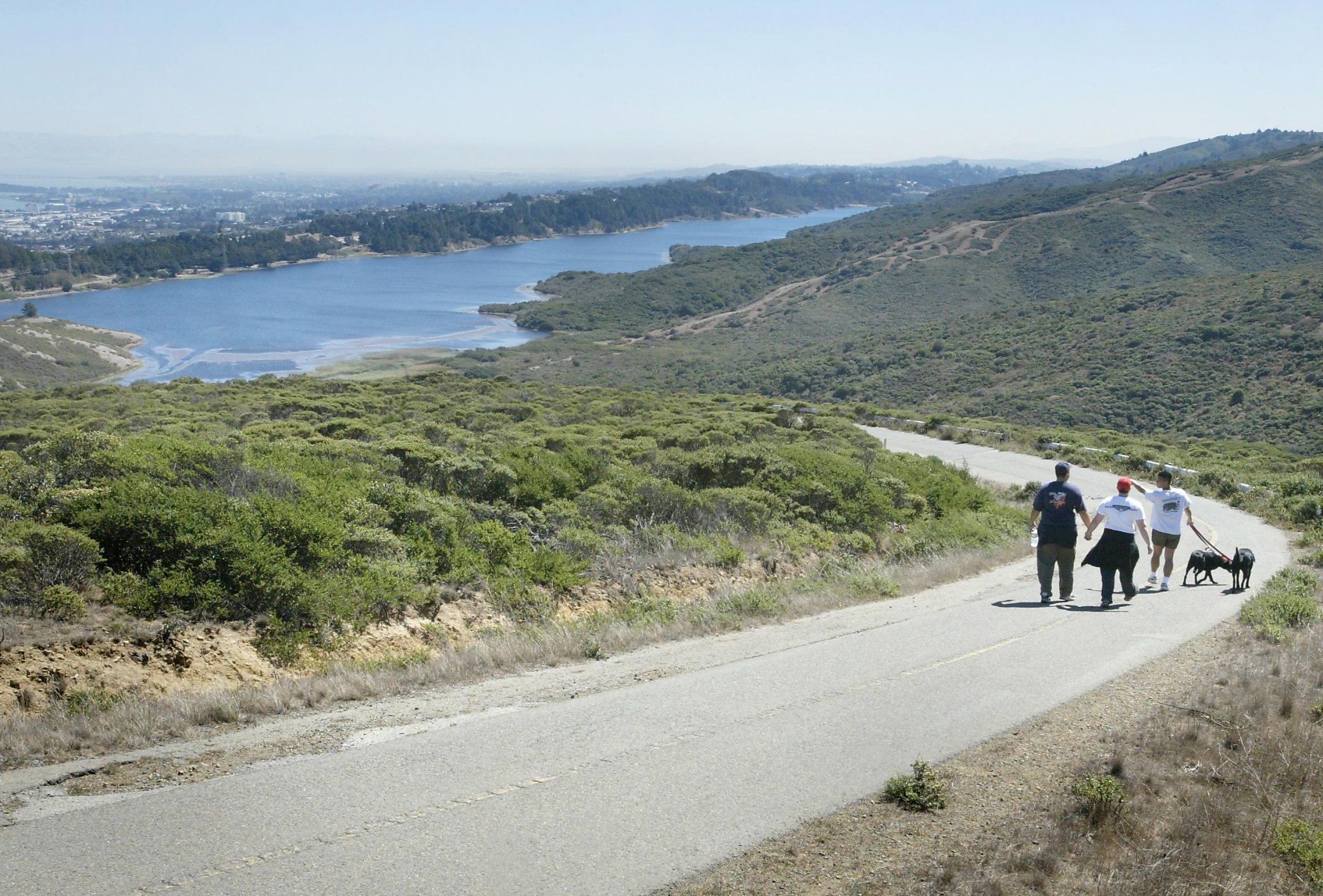 Mountain Lion Seen On Sweeney Ridge