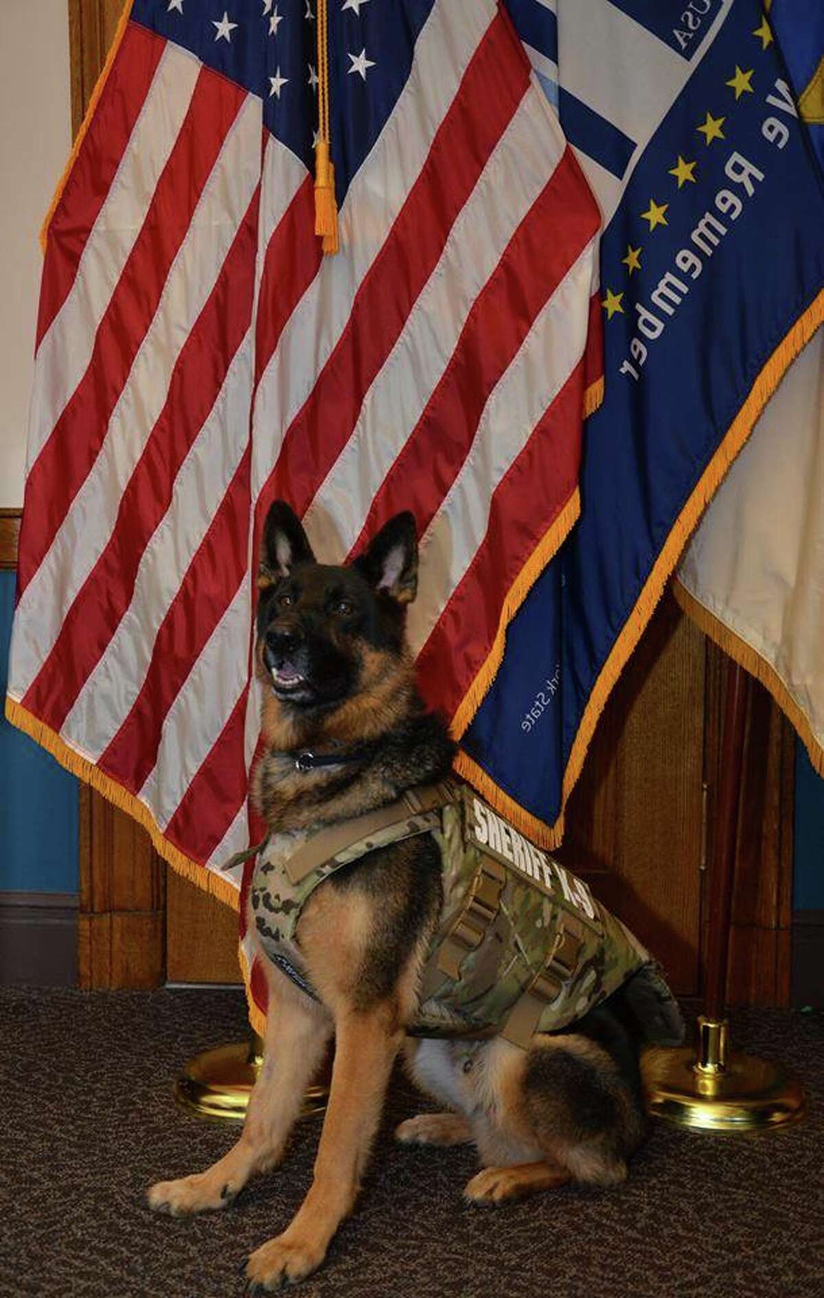 Sheriff: Dog shot after attacking deputy's K-9 in 'tough shape'