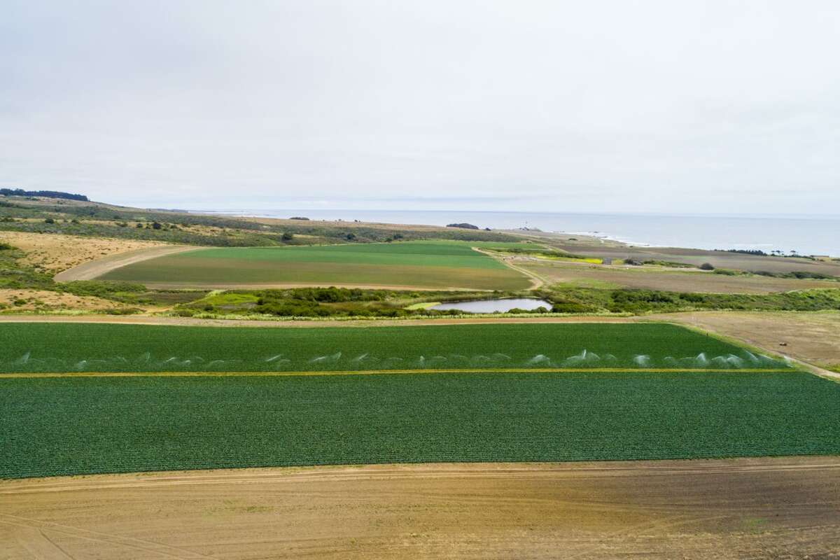 A rare slice of bucolic California coastline, an hour south of SF, gets ...