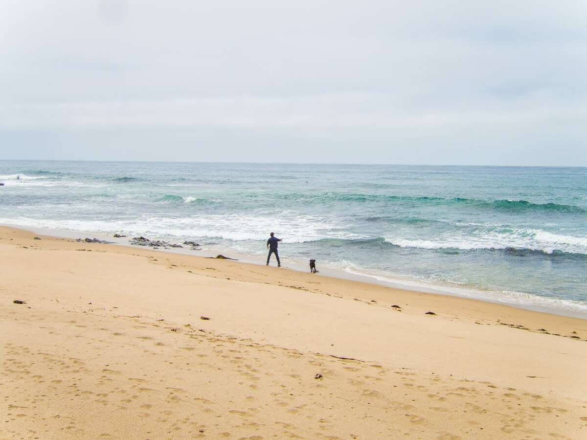 A rare slice of bucolic California coastline, an hour south of SF, gets ...