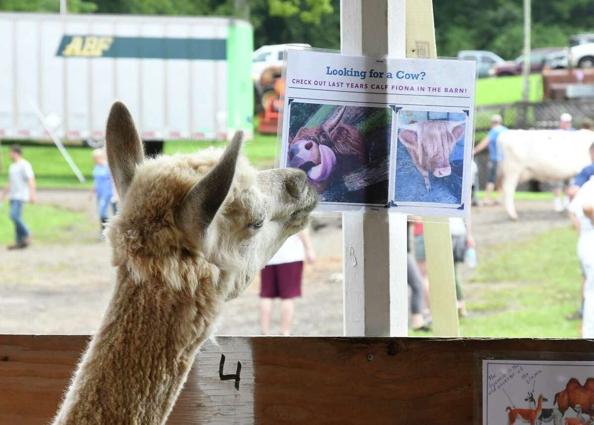 Bridgewater Country Fair begins Friday, continues to Sunday