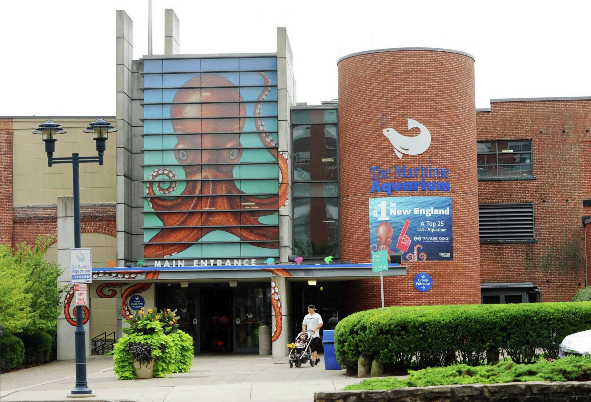 Norwalk's Maritime Aquarium earns international accreditation