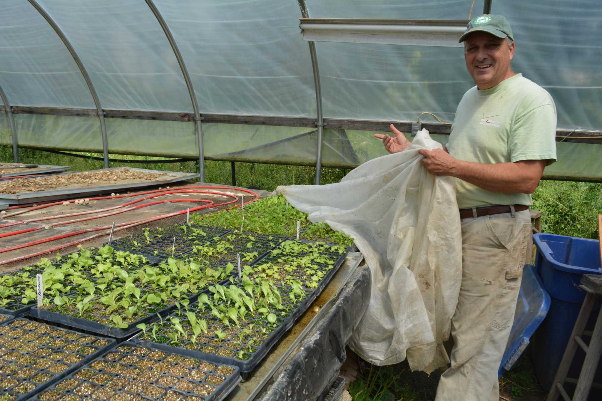 Northwest Connecticut Regional Food Hub having successful year