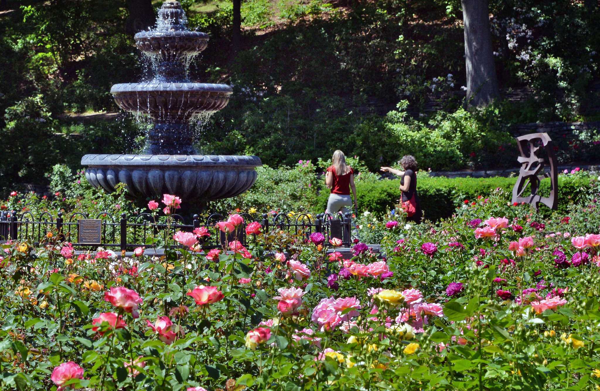 Get ready for fall: What to do in flower garden now