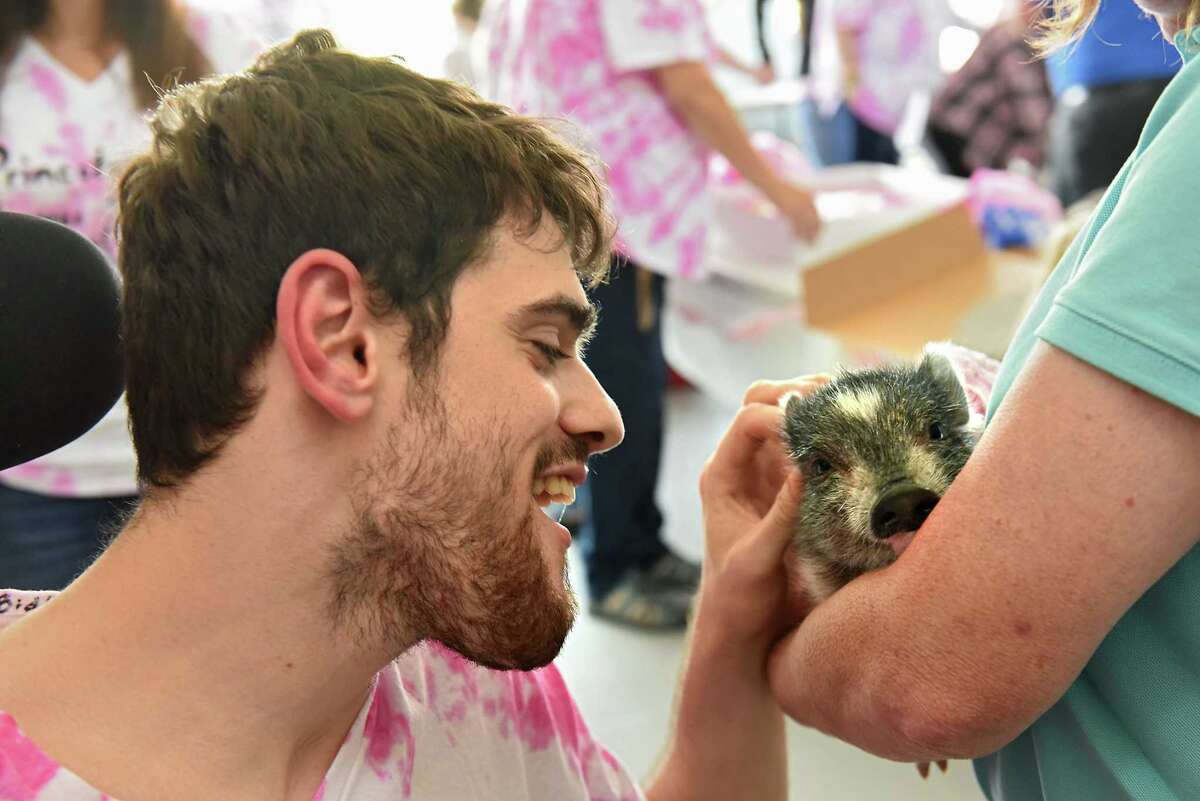 Birthday blowout for therapy pig