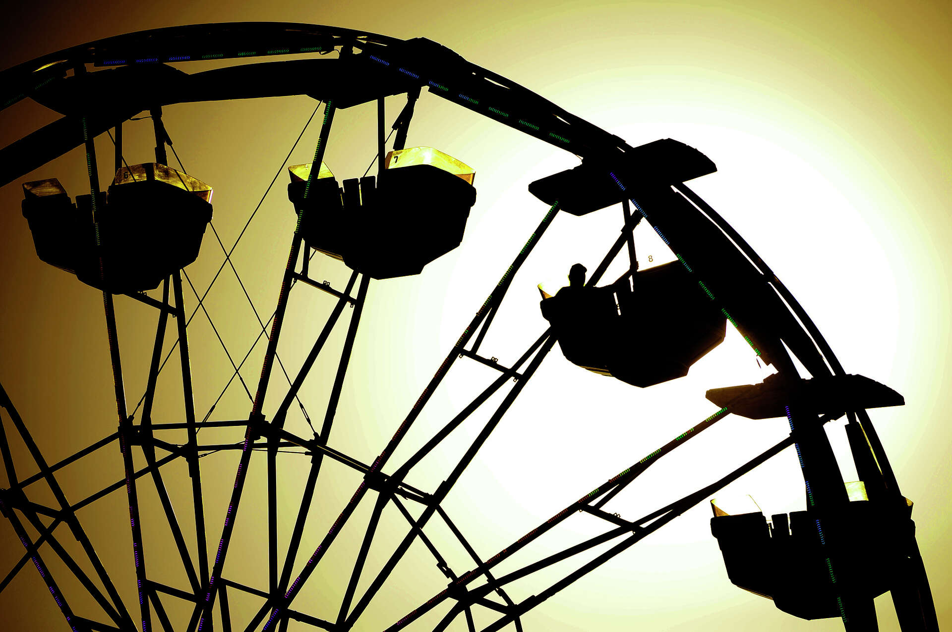 2022 Midland County Fair Fast Facts