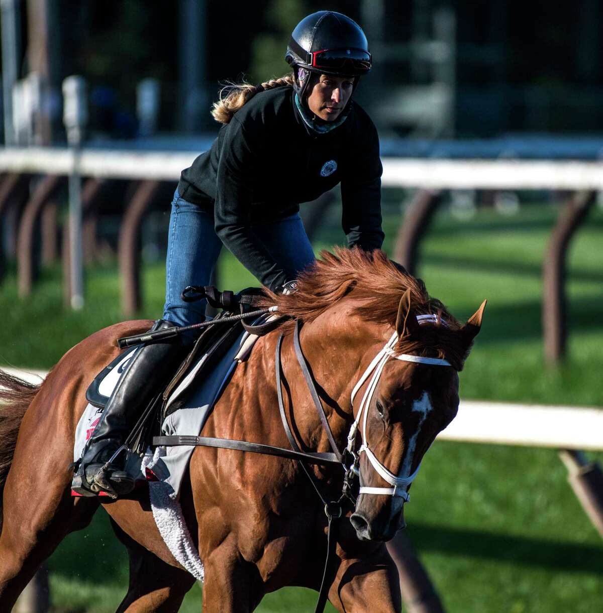 Everything you need to know for Travers Day