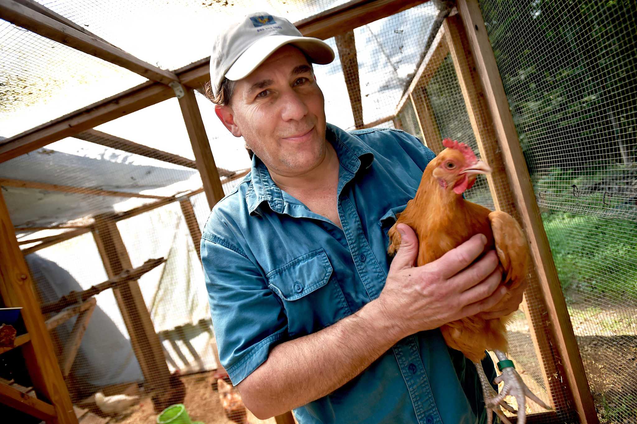 Rent-A-Hen: Killingworth business provides hens, coops & support