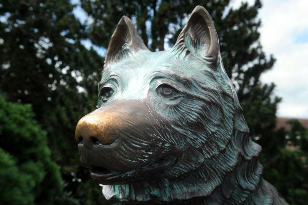 After stint as an administrator, UConn’s Herbst plans return to the ...