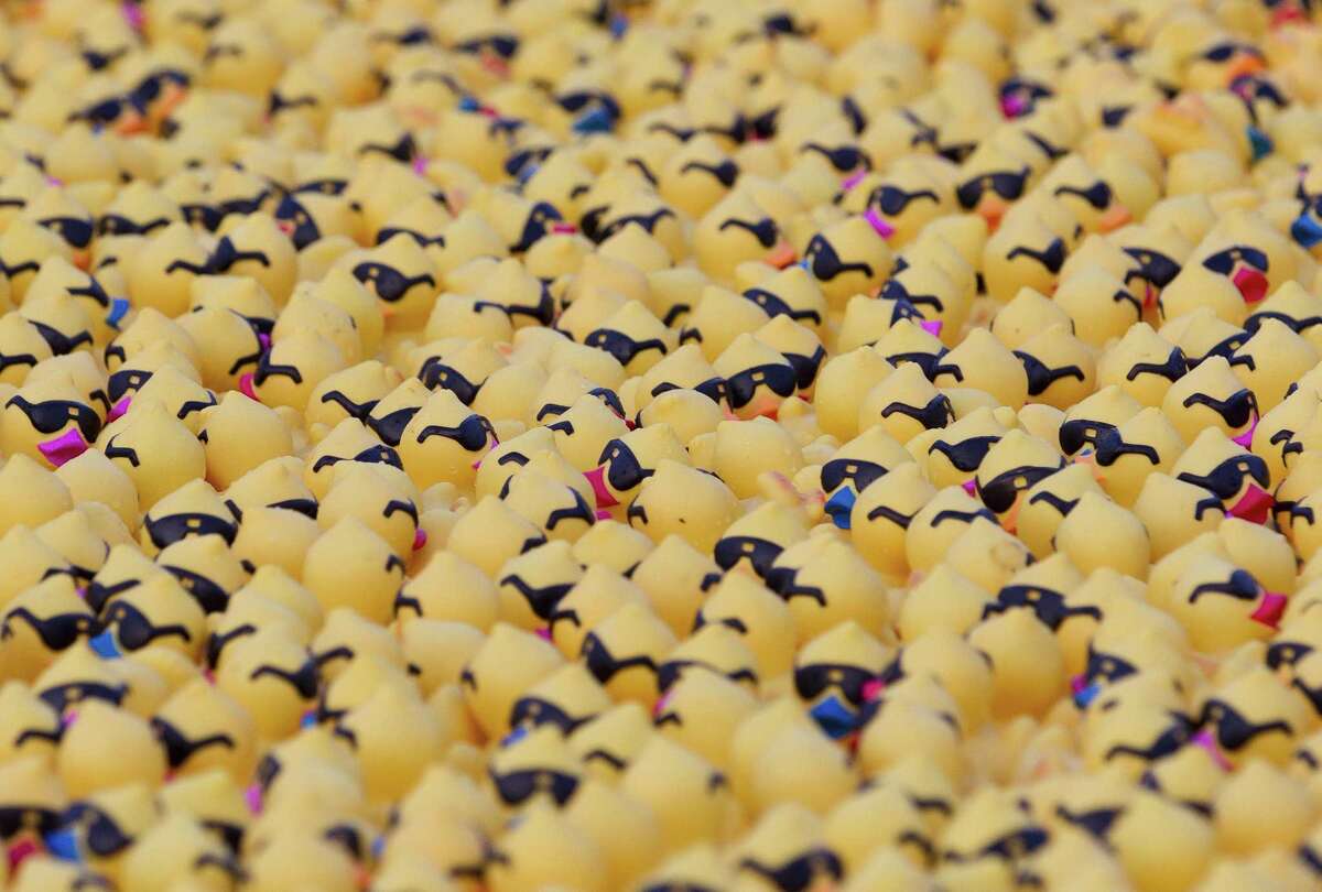 Little rubber ducks raise big money for Crisis Assistance Center