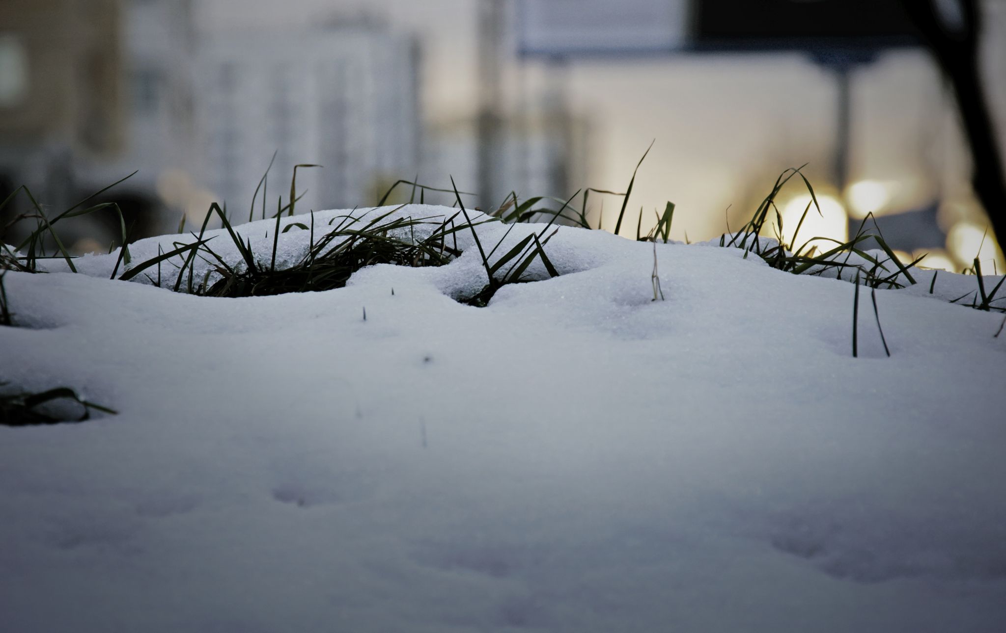 Something to look forward to: a 'stinging' cold winter coming to Texas ...