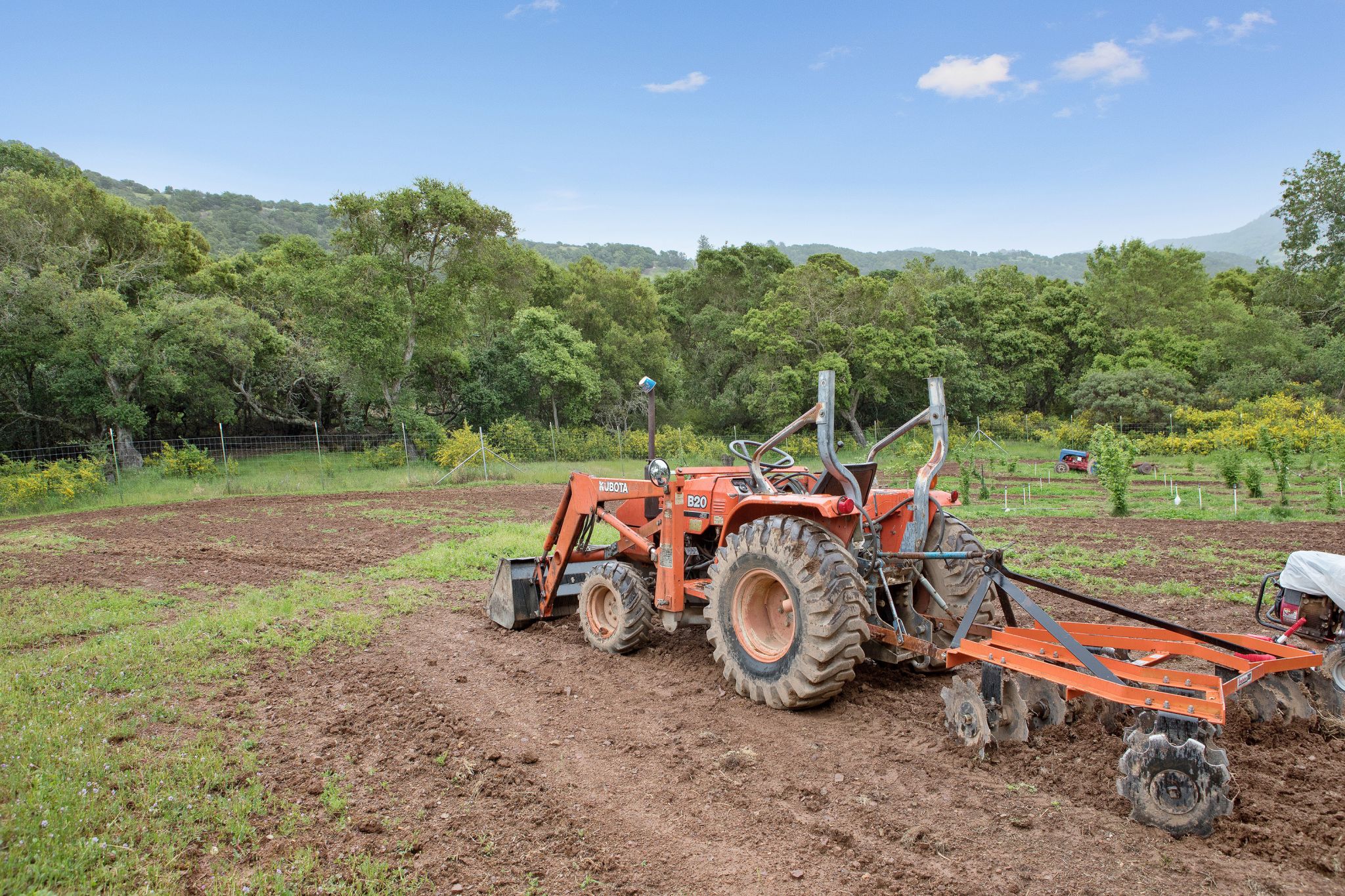 24 acres for sale in Napa: 'One of the largest tracts of land available ...