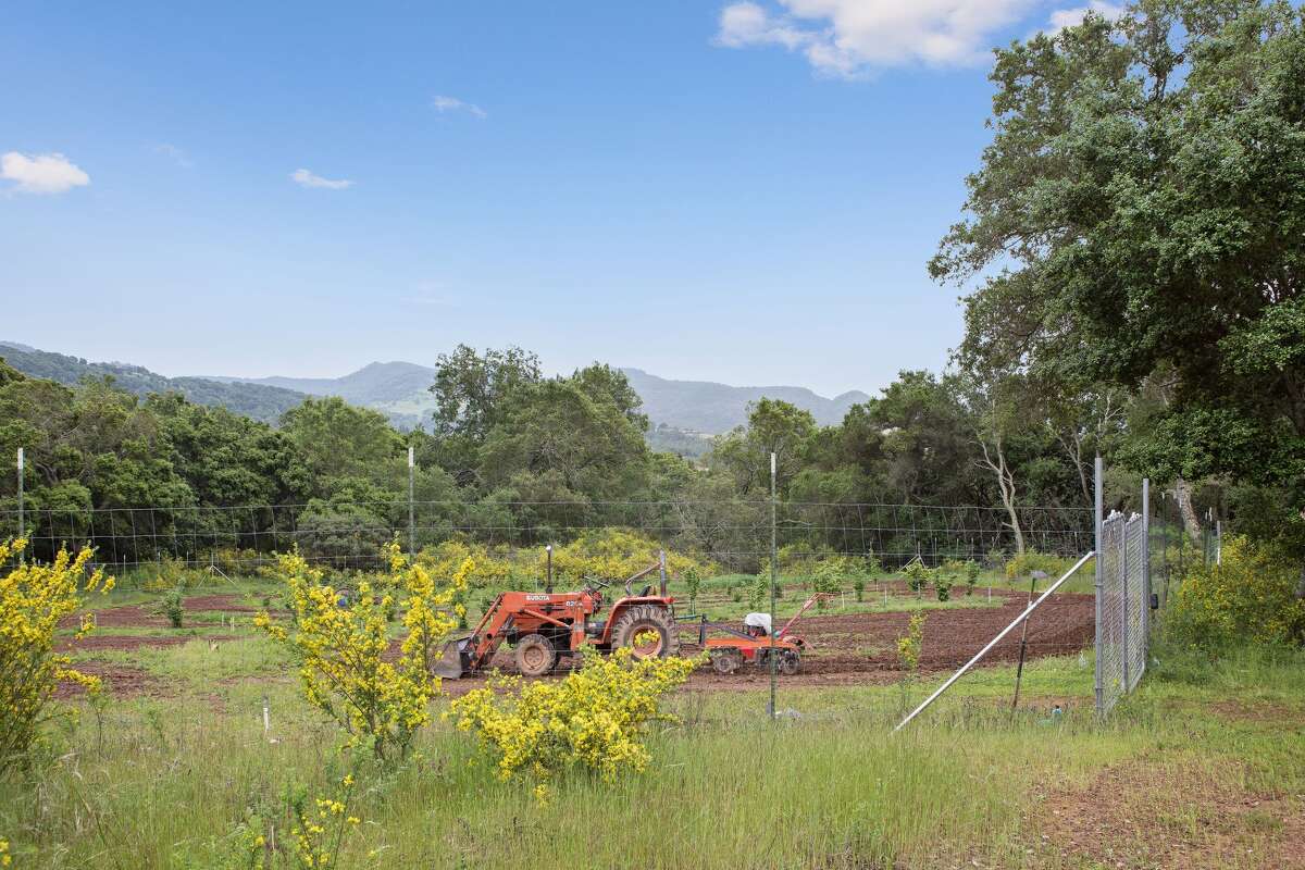 24 acres for sale in Napa: 'One of the largest tracts of land available ...