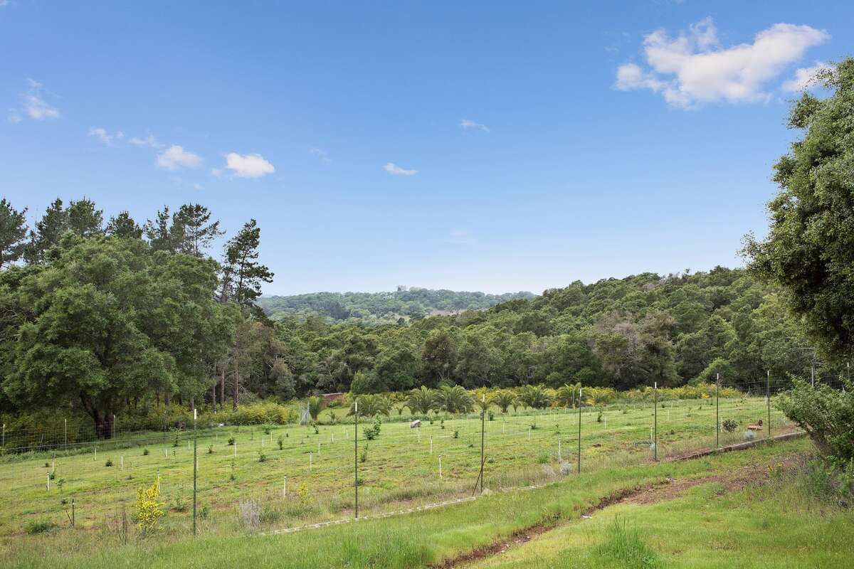 24 acres for sale in Napa: 'One of the largest tracts of land available ...