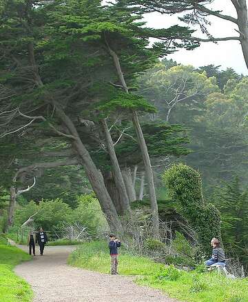 Weekend getaway to San Francisco’s Coastal Trail