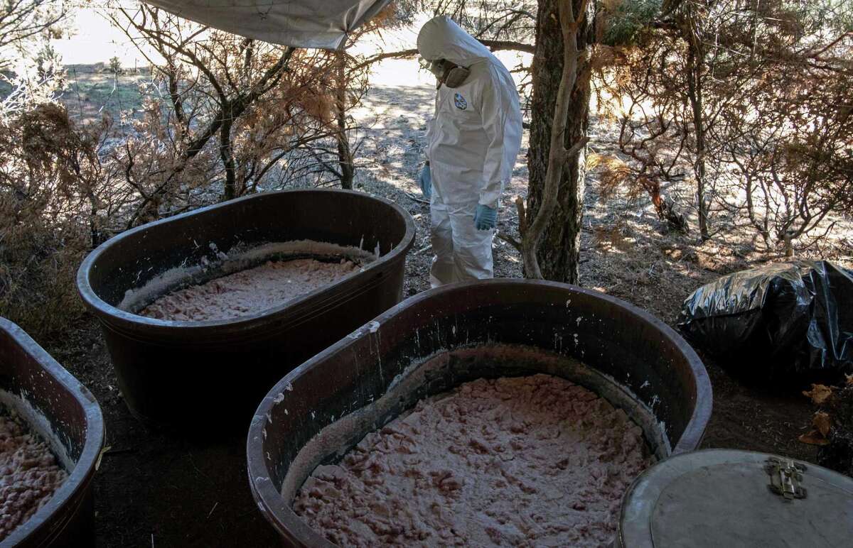 Mexican Army finds massive crystal meth, marijuana operation in Tecate