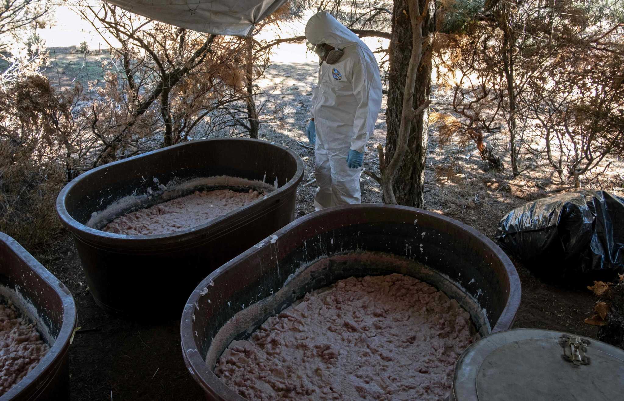 Mexican Army finds massive crystal meth, marijuana operation in Tecate