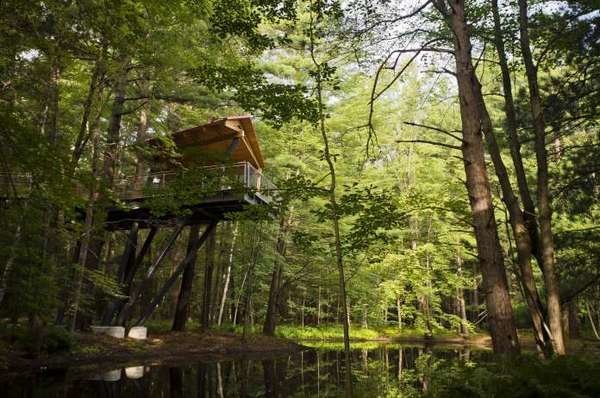 Activities set for canopy walk opening week