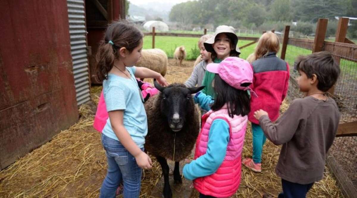 Top 10 farms to visit for family fun